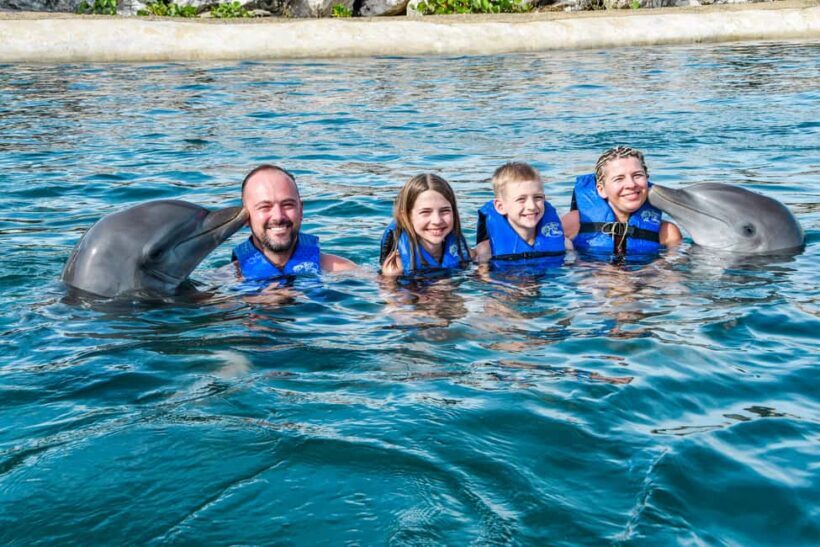 Puerto Plata: Ocean World Adventure Park Swim with Dolphins - What to Expect at Ocean World Adventure Park