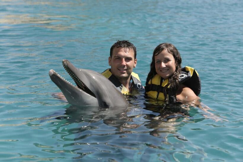 Puerto Plata Ocean World Dolphin Swim - An In-Depth Look at the Dolphin Swim Experience