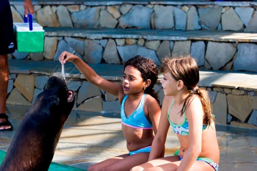 Puerto Plata Ocean World Tickets - The Sum Up: Who Is This Tour Best For?