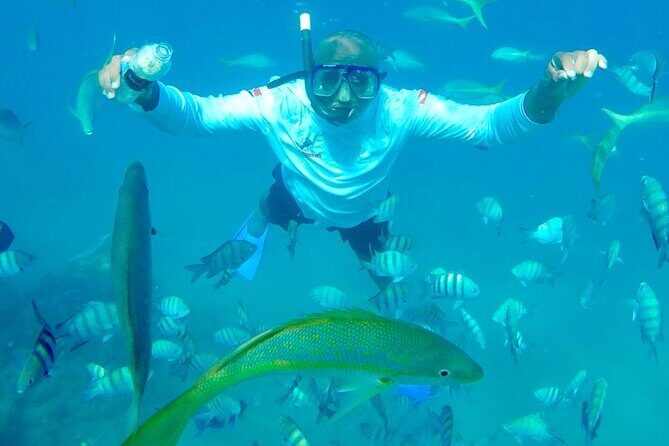 Puerto Plata : Party Boat Catamaran to Sosúa Bay - Key Points