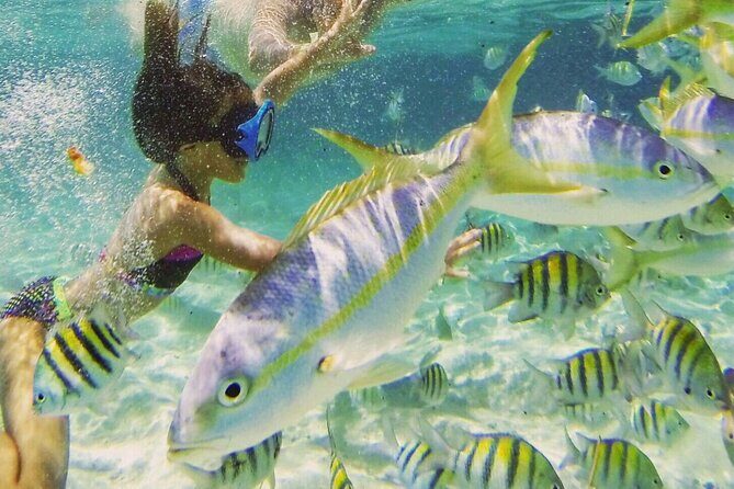 Puerto Plata : Party Boat Catamaran to Sosúa Bay - Who Should Consider This Tour?