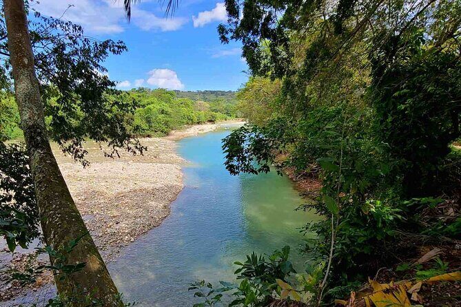 Puerto Plata Rejoya River Excursion Amber Cove Taino Bay Hotels - Introduction: A True Adventure for the Active Spirit