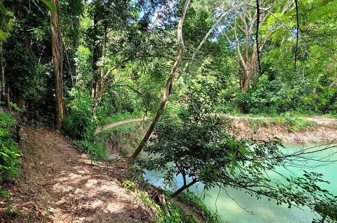 Puerto Plata Rejoya River Excursion Amber Cove Taino Bay Hotels - The Sum Up: Who Will Love This Tour?