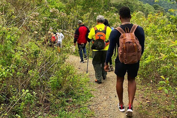 Puerto Plata Rejoya River Excursion Amber Cove Taino Bay Hotels - FAQs About the Rejoya River Excursion