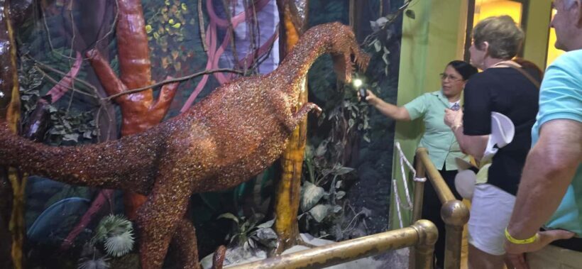 Puerto Plata: Scenic City Tour with Mount Isabel and Lunch - An In-Depth Look at the Tour Experience