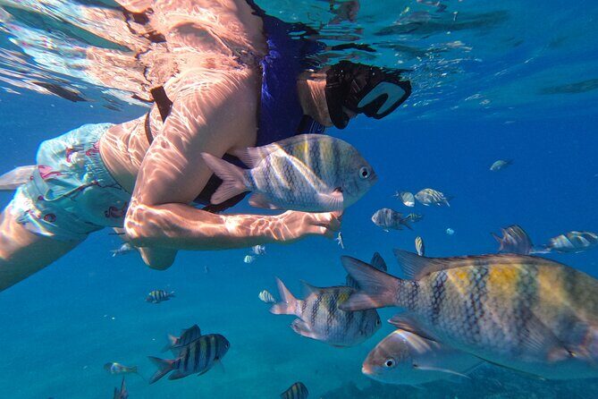 Puerto Plata Shore Excursion, Snorkeling tour & Sosua Beach Day - Final Thoughts