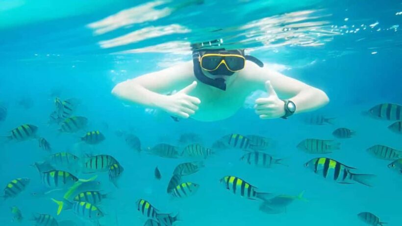 Puerto Plata: Sosúa Bay Snorkeling Tour with Guide - FAQs