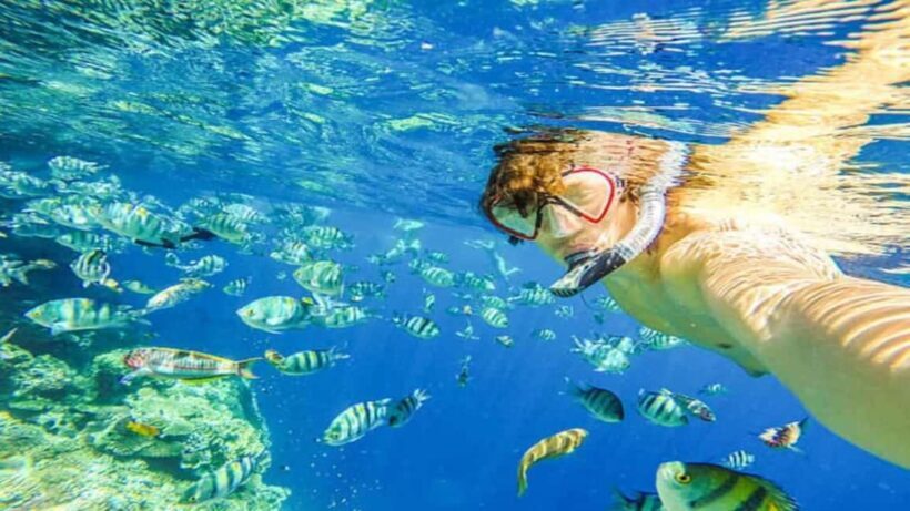 Puerto Plata: Sosúa Bay Snorkeling Tour with Transfers - Deep Dive into the Experience