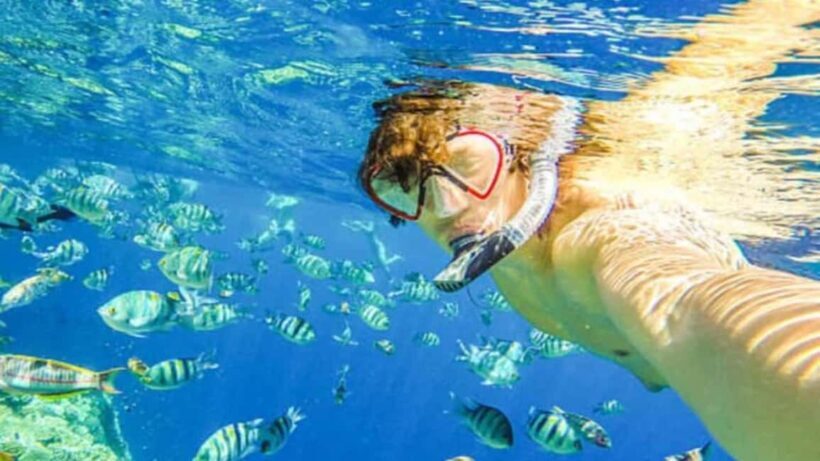 Puerto Plata: Sosúa Bay Snorkeling Tour with Transfers - Final Thoughts: Is This Tour Worth It?
