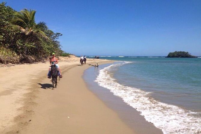 Puerto Plata: Sunset Beach Horseback Riding - An In-Depth Look at the Sunset Beach Horseback Tour