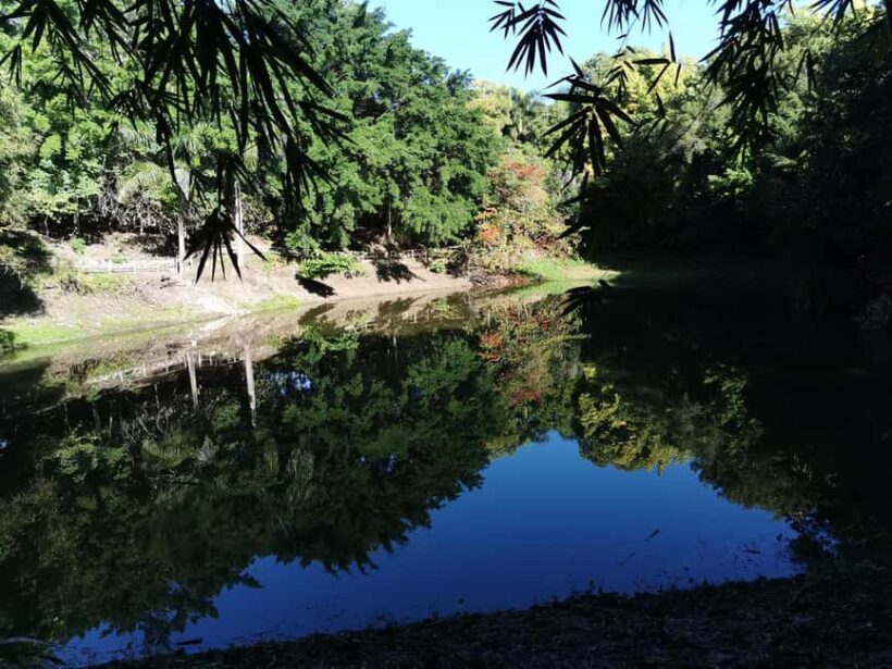 Puerto Plata: Taino Valley and Dominican Flavor Experience - Ending with Nature: Charco de Mariano