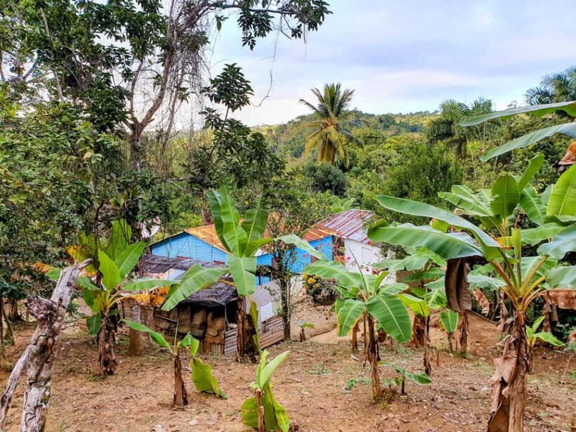 Puerto Plata Trekking - Experience of Nature and Folklore - Practical Details and Tips