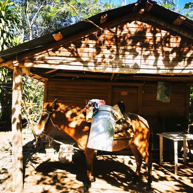 Puerto Plata Trekking - Experience of Nature and Folklore - Final Thoughts