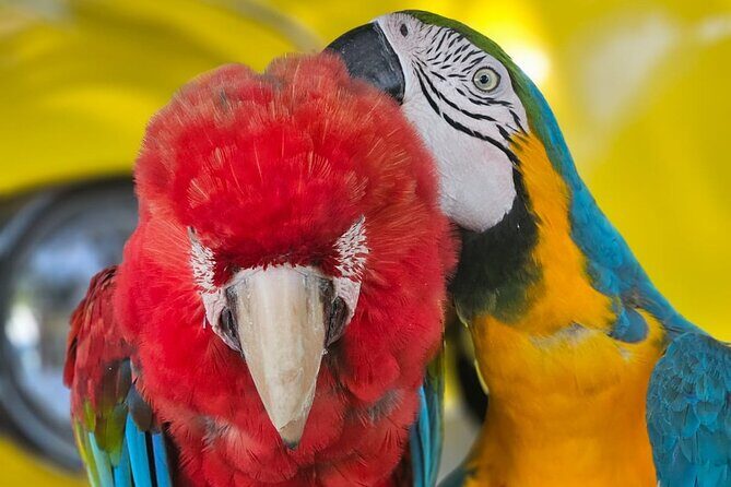 Puerto Plata VIP Experience : City & Countryside Escape - The Sum Up