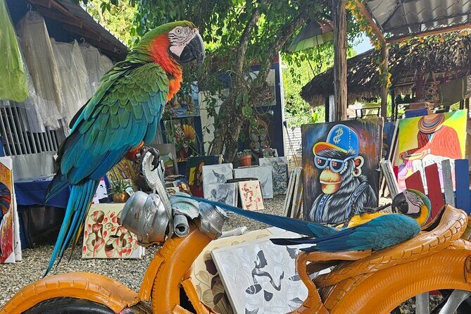 Puerto Plata VIP Experience : City & Countryside Escape - FAQ