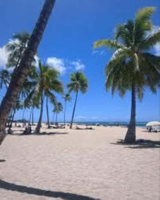 Puerto Plata: Whale Watching & Bacardi Island Day Trip - Key Points