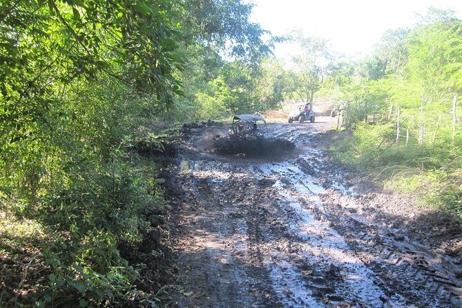 Puerto Plata: Wild & Furious Adventure - Potential Drawbacks and Considerations