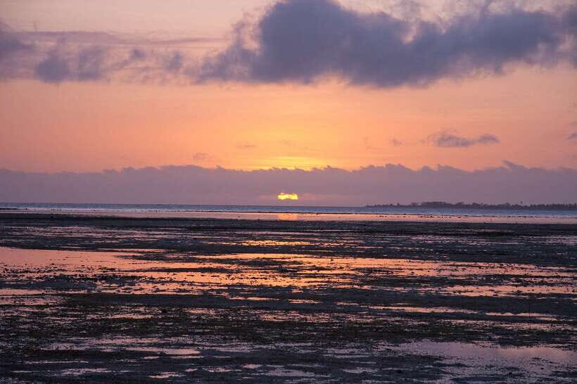 Puerto Princesa: Firefly Watching Bay Cruise with Dinner - Practical Tips for Your Trip