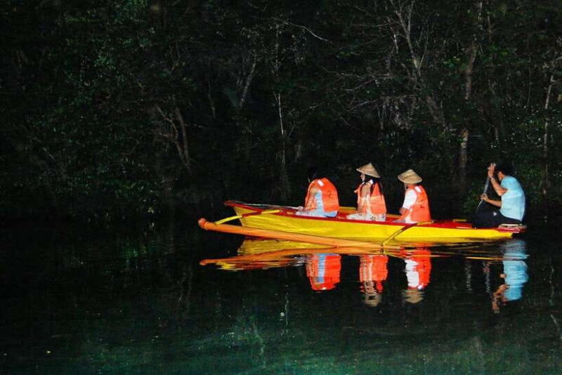 Puerto Princesa Firefly Watching (shared tour) - Key Points