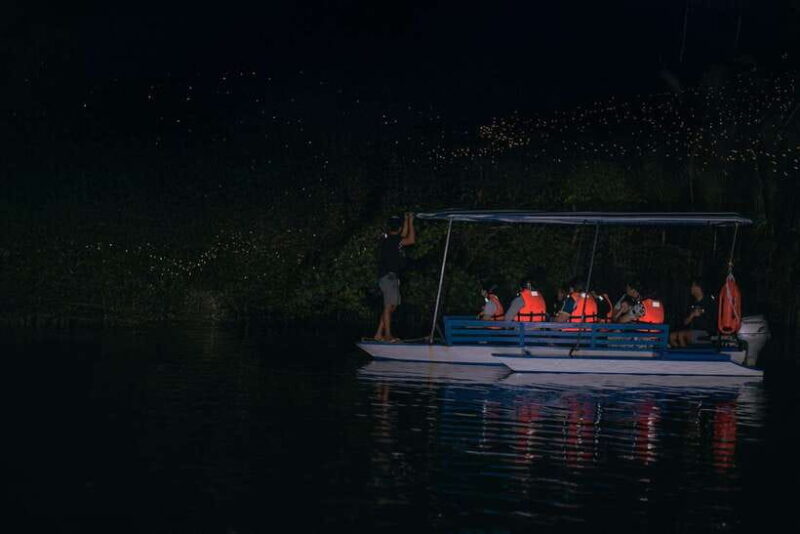 Puerto Princesa: Firefly Watching Tour with Dinner - Who Will Love This Tour?
