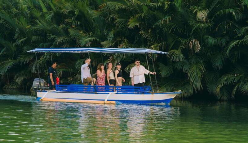 Puerto Princesa: Firefly Watching Tour with Dinner - Final Thoughts