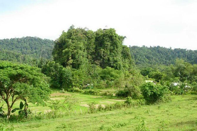 Puerto Princesa Underground river excursion tour UNESCO - Analyzing the Itinerary and Experience