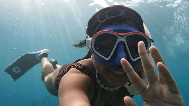 Puerto Princesa: WhaleShark Watching Yacht Tour with Lunch - The Experience and Its Value