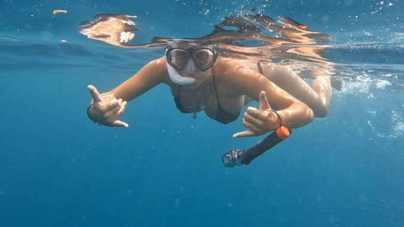 Puerto Princesa: WhaleShark Watching Yacht Tour with Lunch - The Sum Up