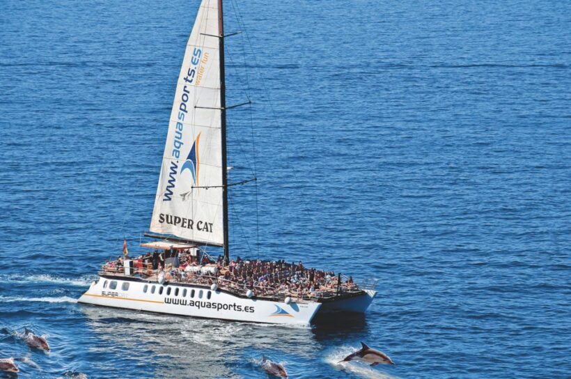 Puerto Rico : 2 hour Dolphin Catamaran Excursion - Analyzing the Value