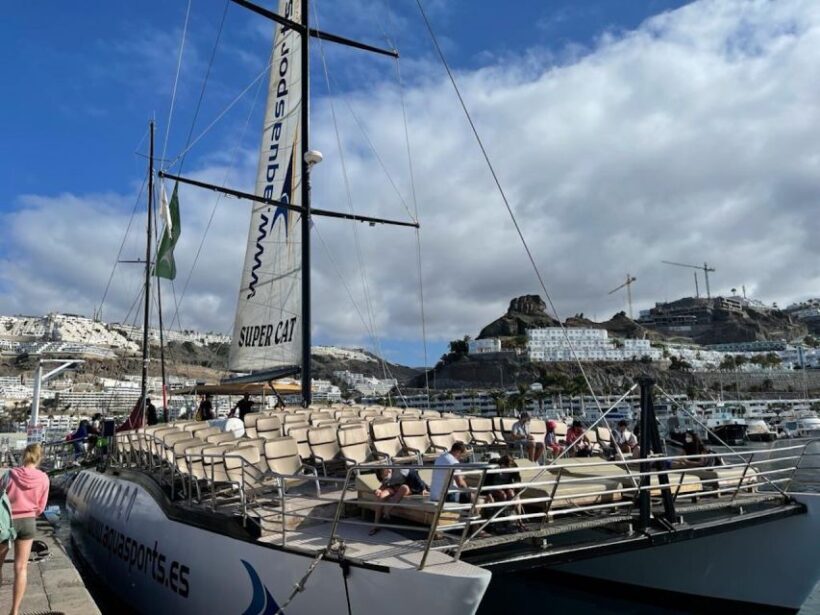 Puerto Rico : 2 hour Dolphin Catamaran Excursion - Detailed Breakdown of the Experience