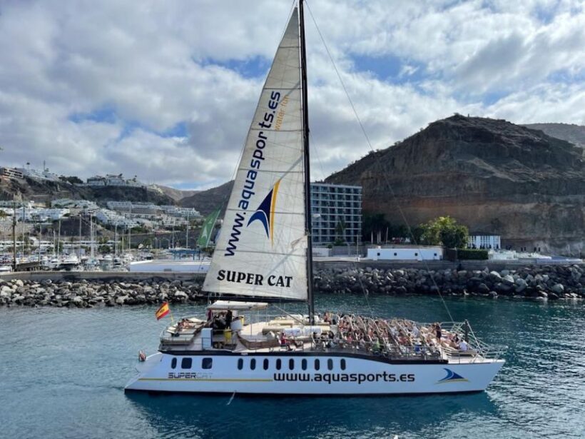 Puerto Rico : 2 hour Dolphin Catamaran Excursion - Who This Tour Is Best For