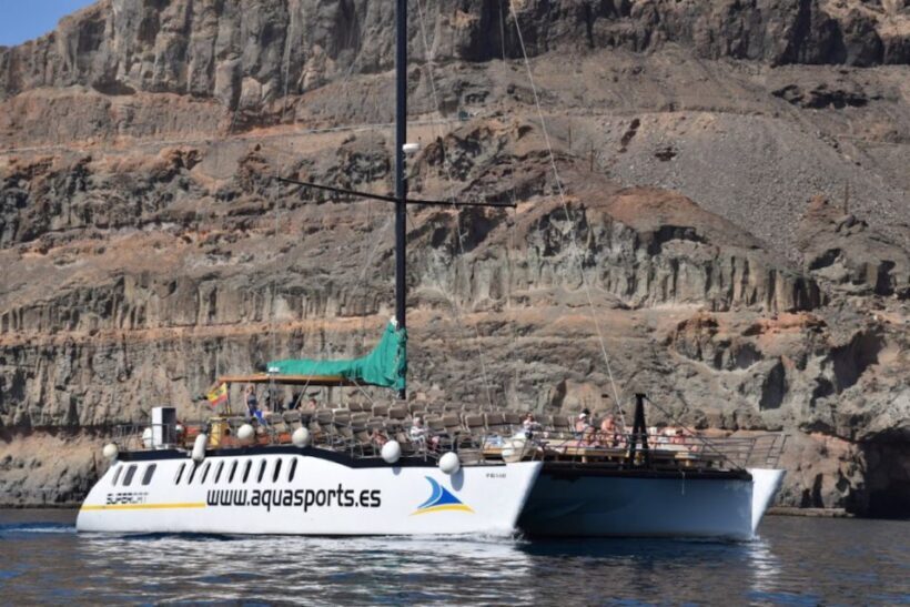 Puerto Rico : 2 hour Dolphin Catamaran Excursion - The Sum Up: Who Will Love This Dolphin Catamaran Trip?