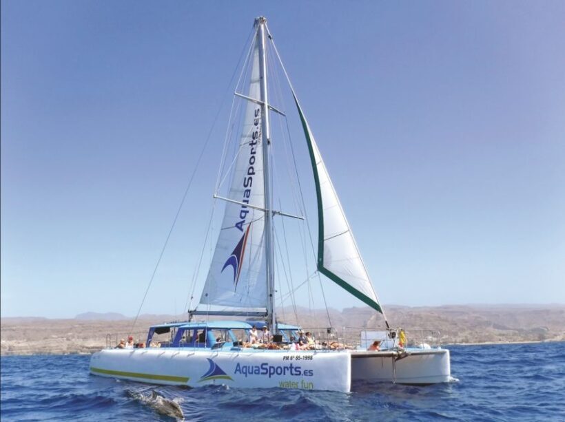 Puerto Rico: 4-Hour Catamaran Excursion in the South - Key Points
