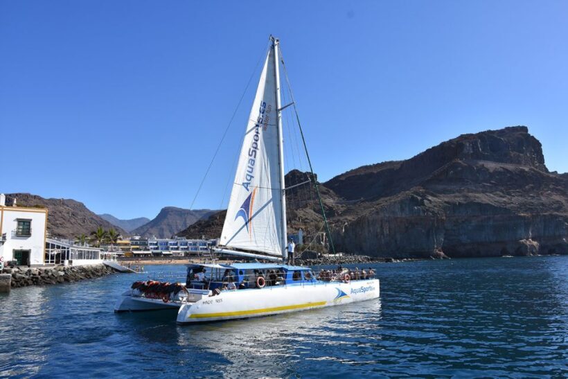 Puerto Rico: 4-Hour Catamaran Excursion in the South - The Value Proposition