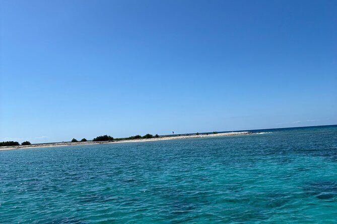 Puerto Rico: Bio Bay Swim and Sunset Charter or Late night tour - Key Points