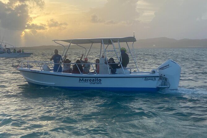 Puerto Rico: Bio Bay Swim and Sunset Charter or Late night tour - A Practical Overview of the Tour