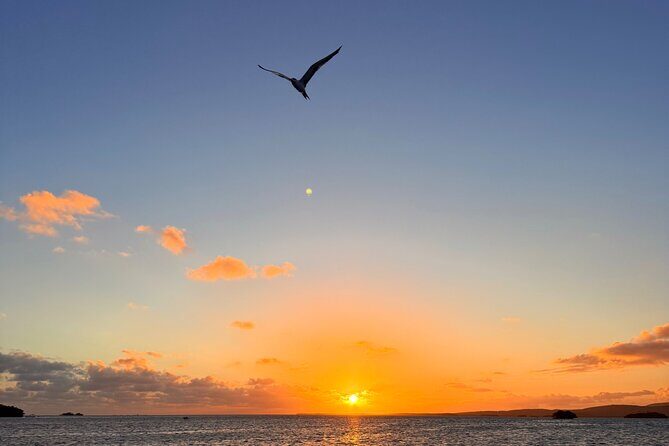 Puerto Rico: Bio Bay Swim and Sunset Charter or Late night tour - Cancellation and Booking