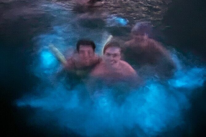 Puerto Rico: Bio Bay Swim and Sunset Charter or Late night tour - Who Will Love This Tour?