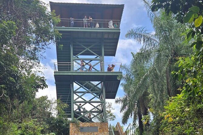 Puerto Rico Cable Car and Bird Sanctuary Tour - What You’ll Experience on the Tour