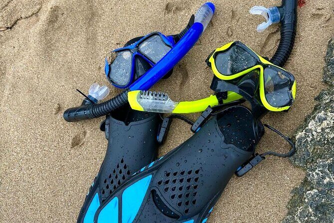 Puerto Rico: Crash Boat UTV Experience with Snorkel Gear - Authentic Experiences and Guest Feedback