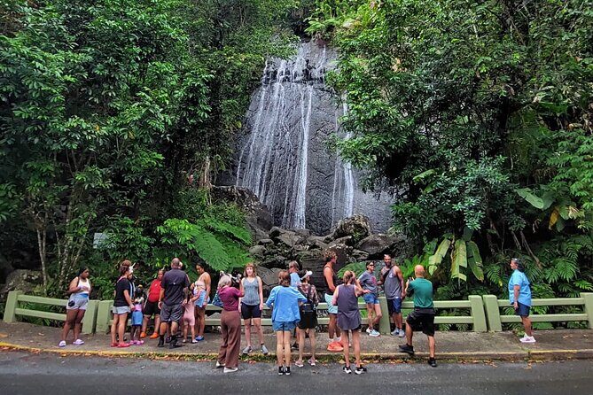 Puerto Rico: El Yunque Sightseeing Half-Day Tour w/Transfer - A Deep Dive into the Itinerary