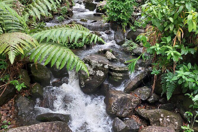 Puerto Rico: El Yunque Sightseeing Half-Day Tour w/Transfer - FAQ