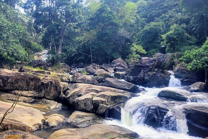 Puerto Rico Guided Tour from Old San Juan to Loïza - Final Thoughts