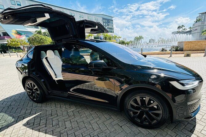 Puerto Rico Island Wide Transfer, Tesla Model X Luxury SUV. - Who Should Book This Transfer?