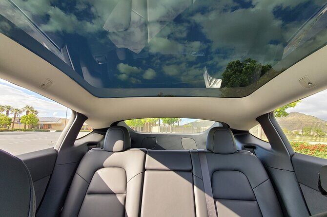 Puerto Rico Island Wide Transfer, Tesla Y Luxury SUV, Select Zone - Who Should Use This Service?