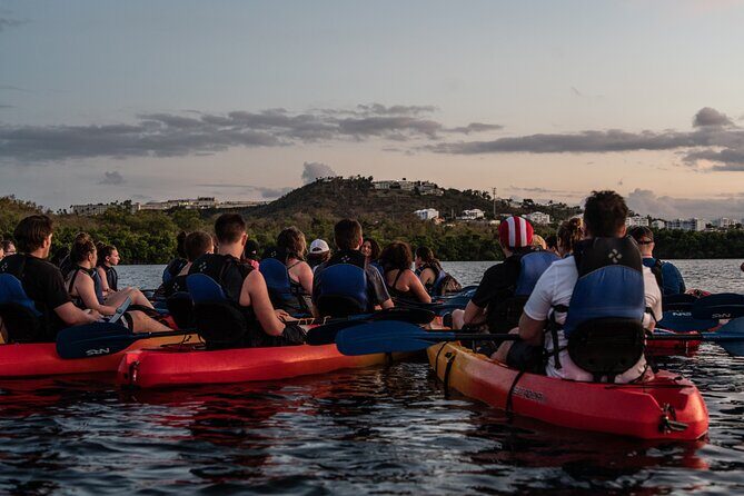Puerto Rico Sunset Magic: Bio Bay Kayaking Tour from Fajardo - Why This Tour Is a Good Deal