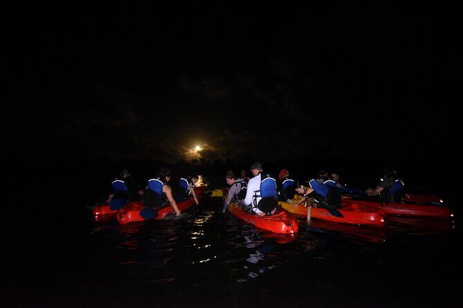 Puerto Rico Sunset Magic: Bio Bay Kayaking Tour from Fajardo - Who Will Love This Tour?