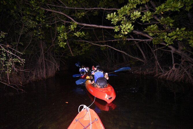 Puerto Rico Sunset Magic: Bio Bay Kayaking Tour from Fajardo - FAQ: Practical Questions Answered