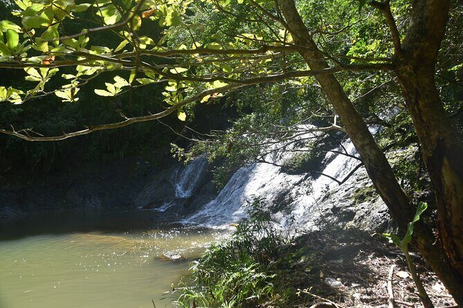 Puerto Rico Waterfall Hiking Tour: Discover Hidden Gems 2.0 - An Introduction to the Puerto Rico Waterfall Hiking Tour