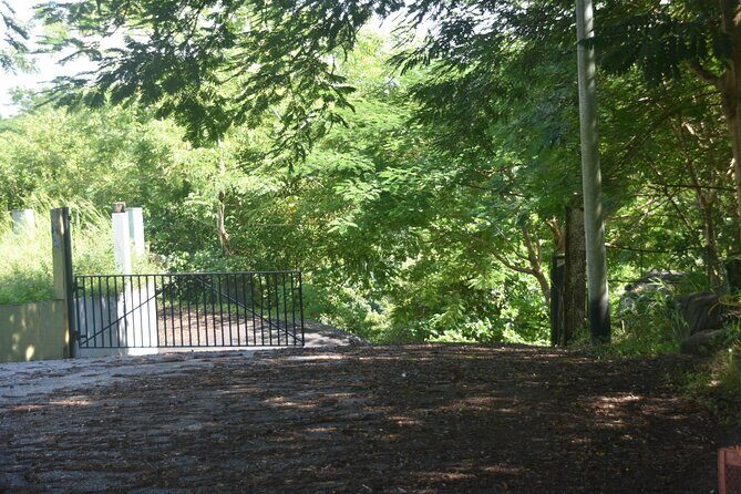 Puerto Rico Waterfall Hiking Tour: Discover Hidden Gems 2.0 - Detailed Breakdown of the Experience